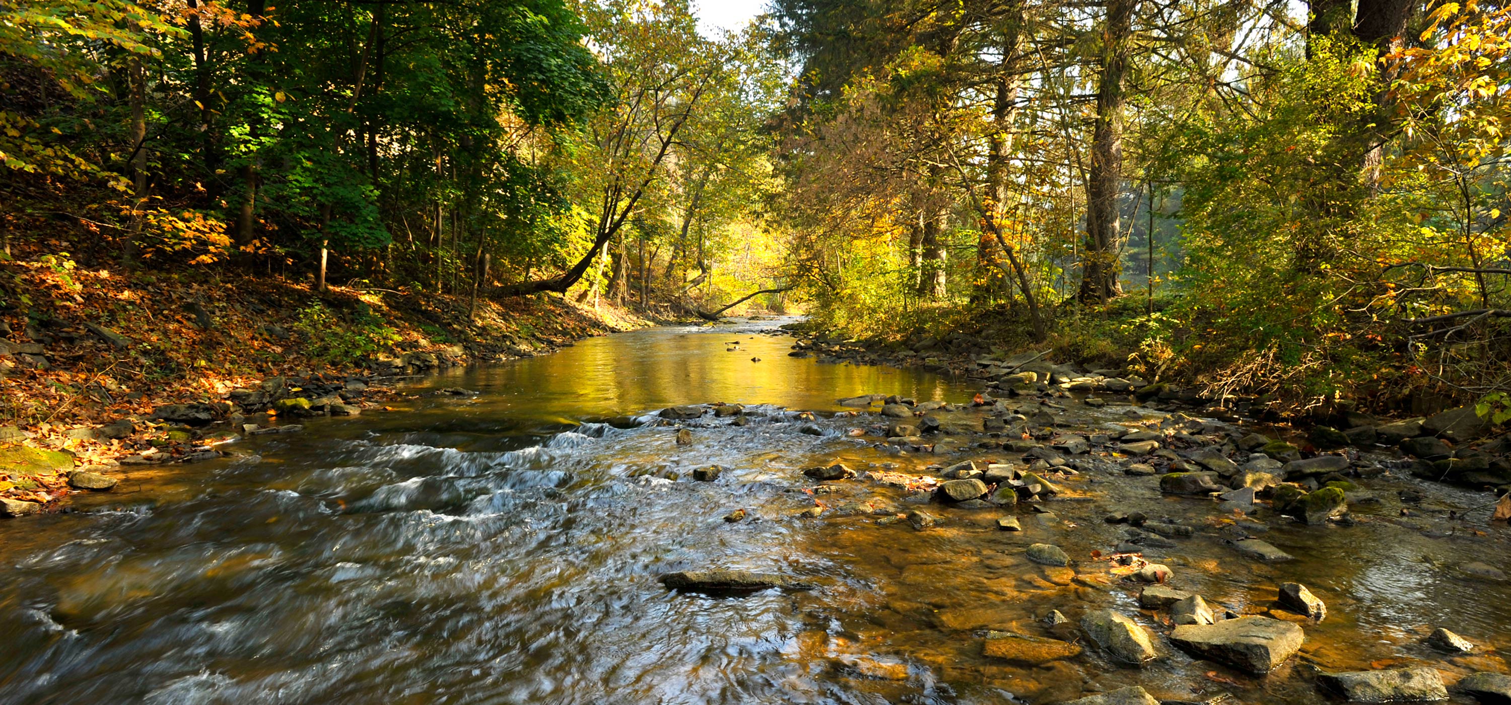 Stream Reports HomeWaters Club